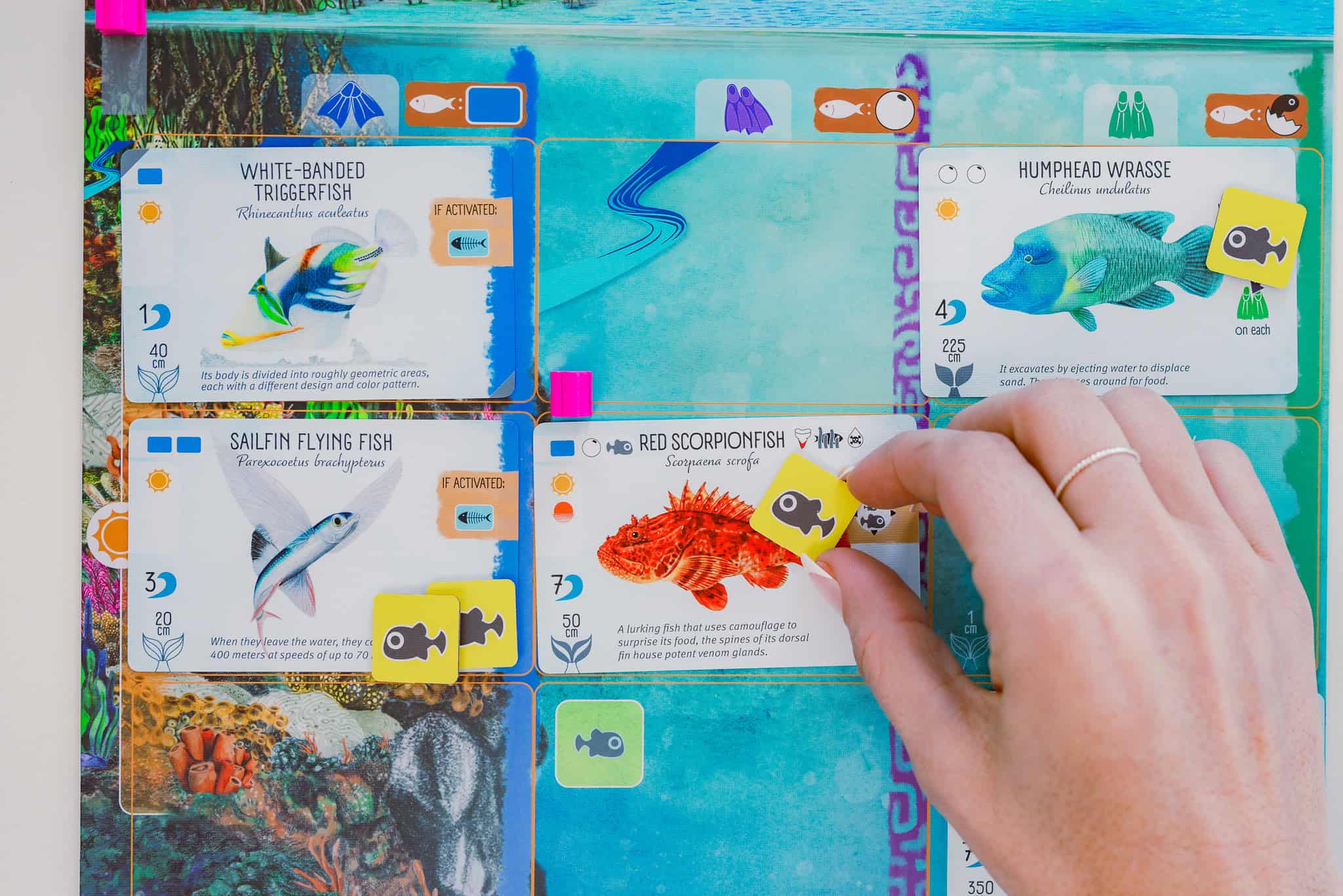 Stonemaier Games Announces Finspan, a New Spin on Wingspan - TGN ...